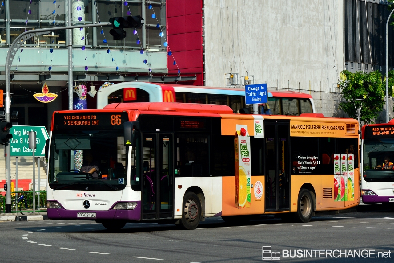 Bus 86 SBS Transit Mercedes Benz Citaro SBS6246U Marigold