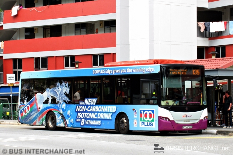 Bus 135 SBS Transit Scania K230UB SBS8255E Bus Interchange
