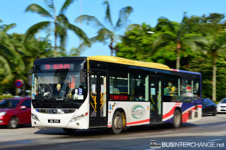 Bus T10 - Causeway Link Yutong ZK6126HG (JSK7318) | Bus Interchange