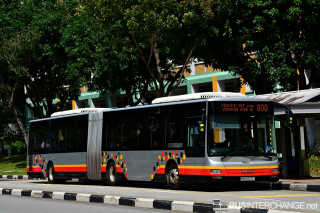 Bus 800 - SMRT Buses MAN NG363F (A24) (SMB8001E) | Bus Interchange